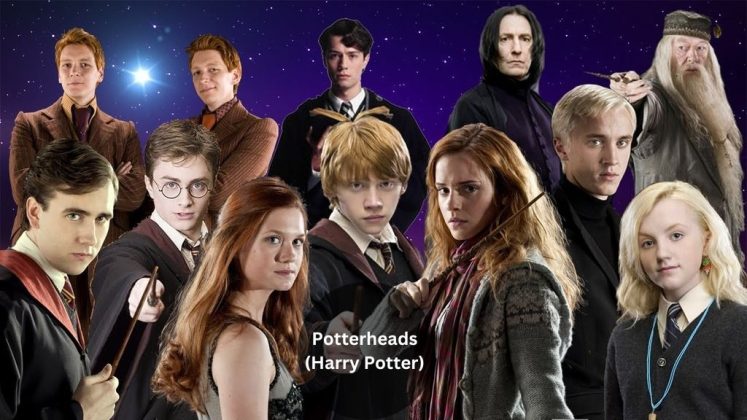 15 Most Powerful Fandom in the World: From Movies to Music